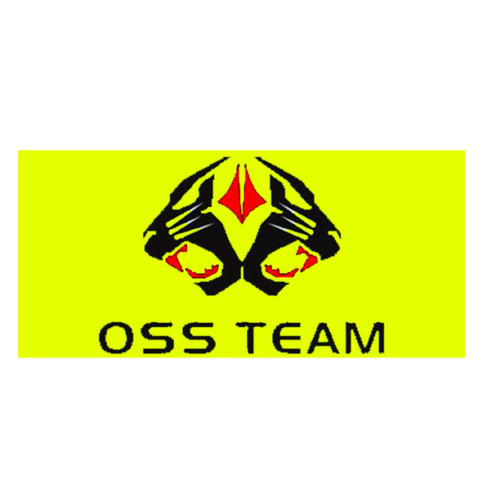 OssTeam